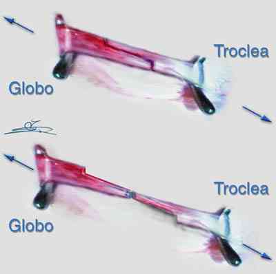 34-06.jpg (7536 bytes)