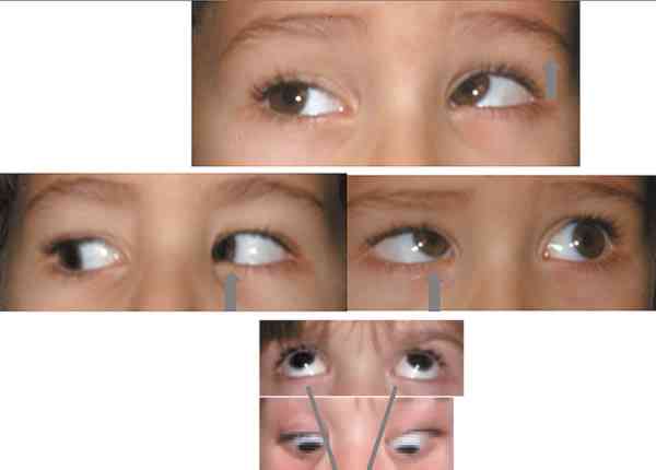 43-08.jpg (10437 bytes)