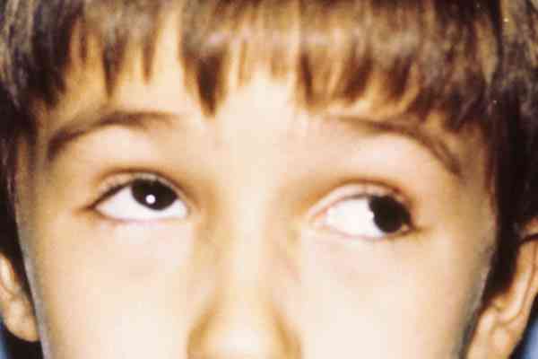 43-11.jpg (10602 bytes)